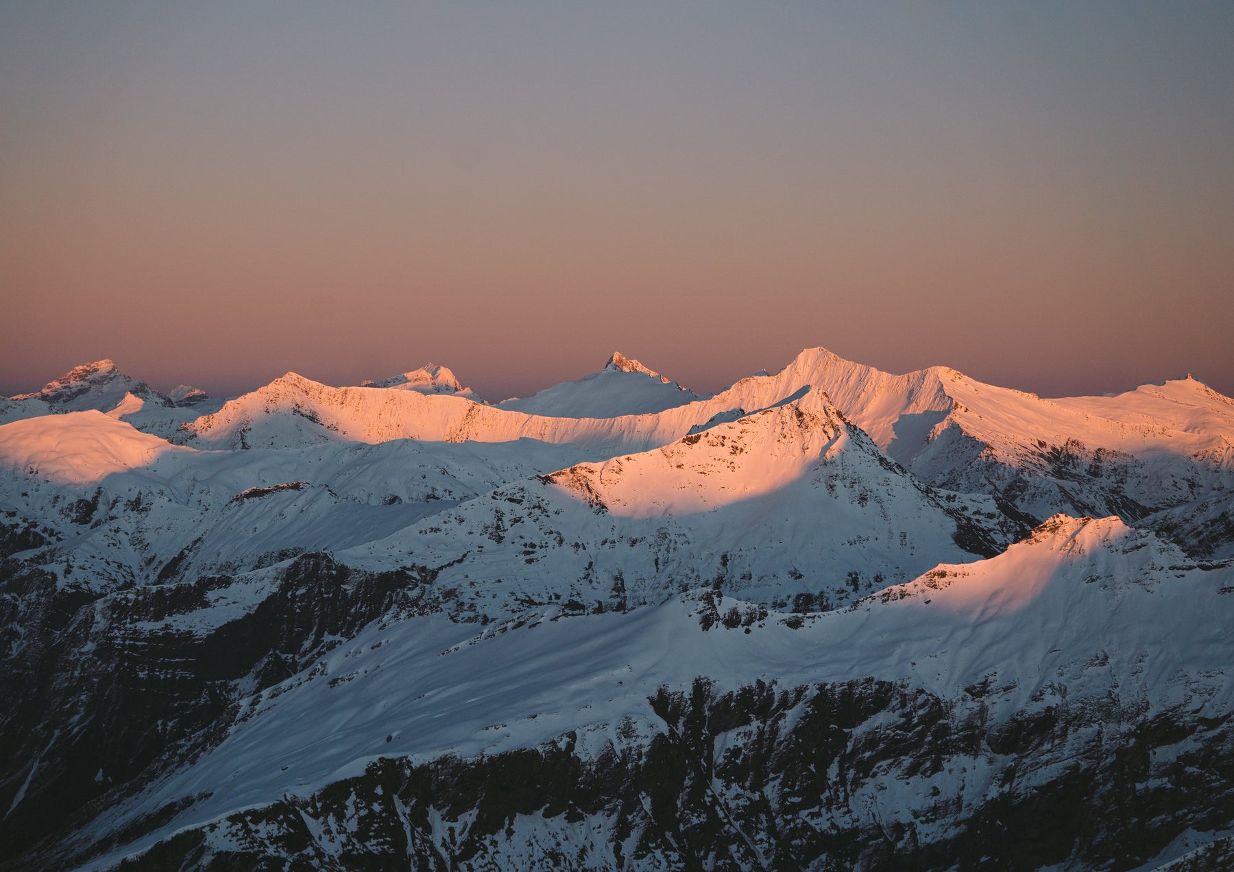 Marie Valencia Photography - bunny gallery