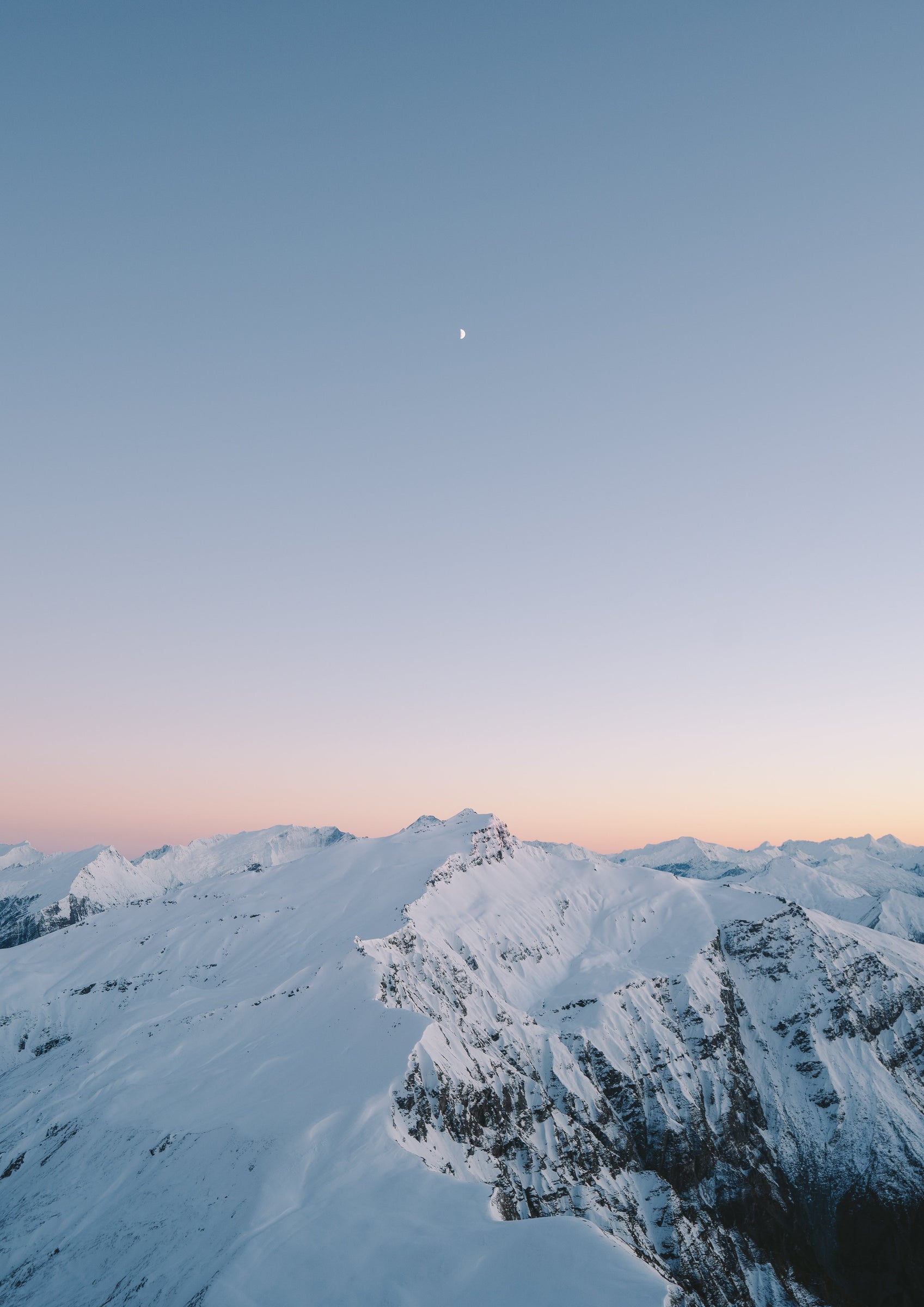 Marie Valencia Photography - bunny gallery