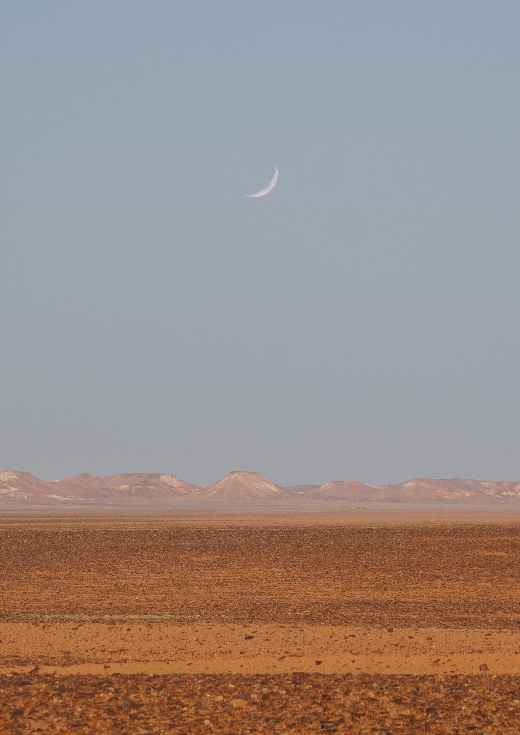 Marie Valencia Photography - bunny gallery